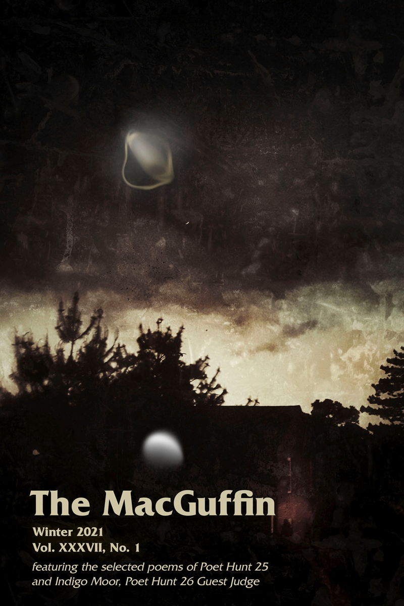 Two of my poems in The MacGuffin – Jason Kahler